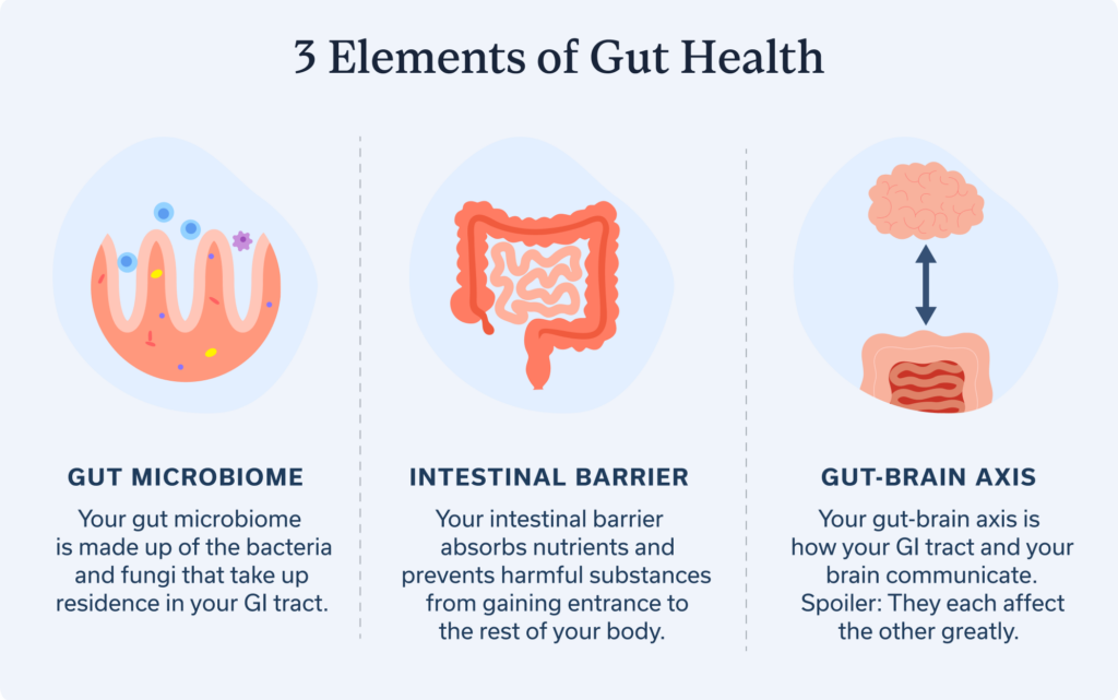 6 science-backed ways to improve gut health and digestion - Oshi Health