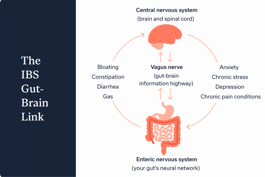 Irritable bowel syndrome (IBS) 101: Symptoms & treatment - Oshi Health