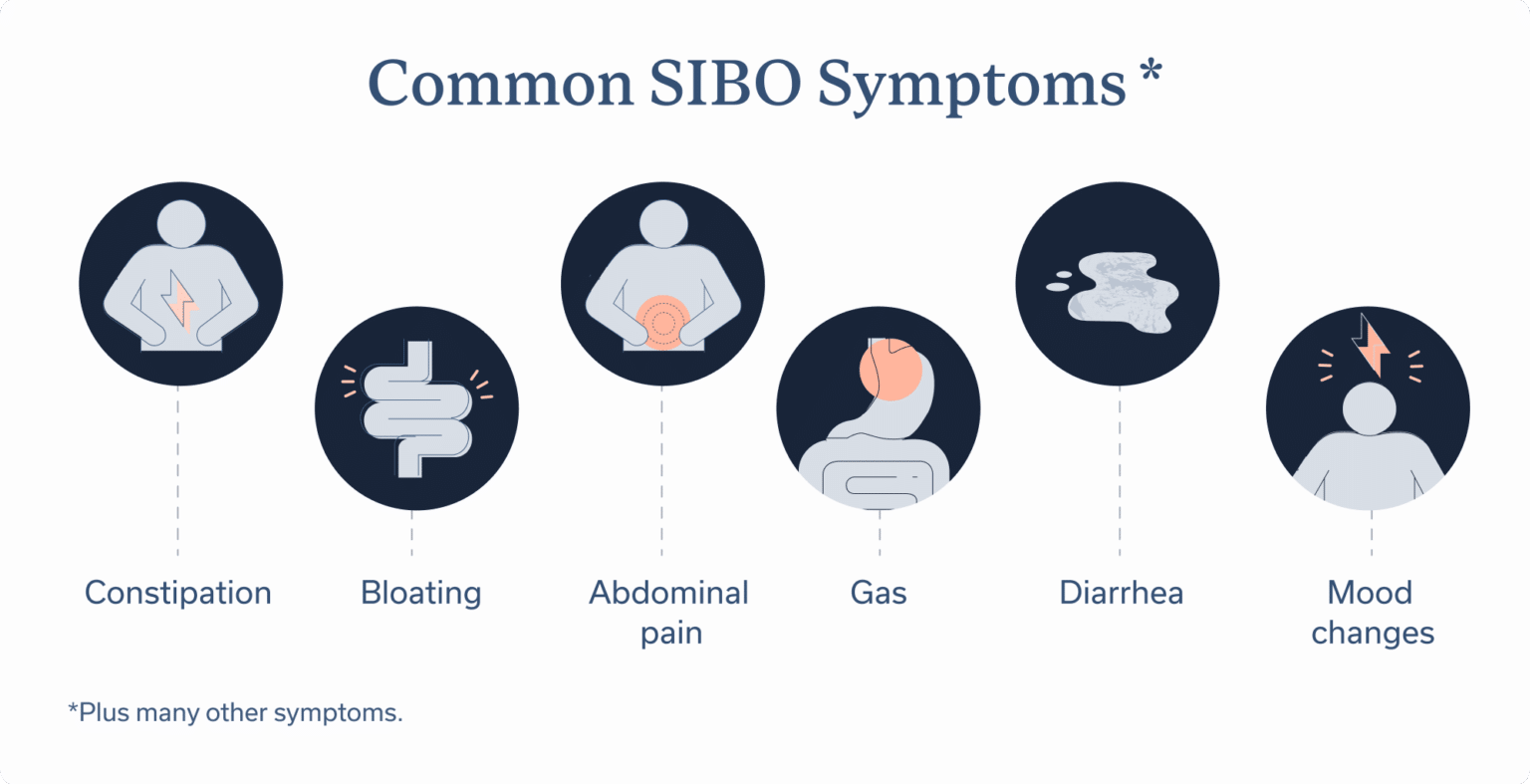 SIBO Diet: What it is, how to get started, and how it can help you heal - Oshi Health