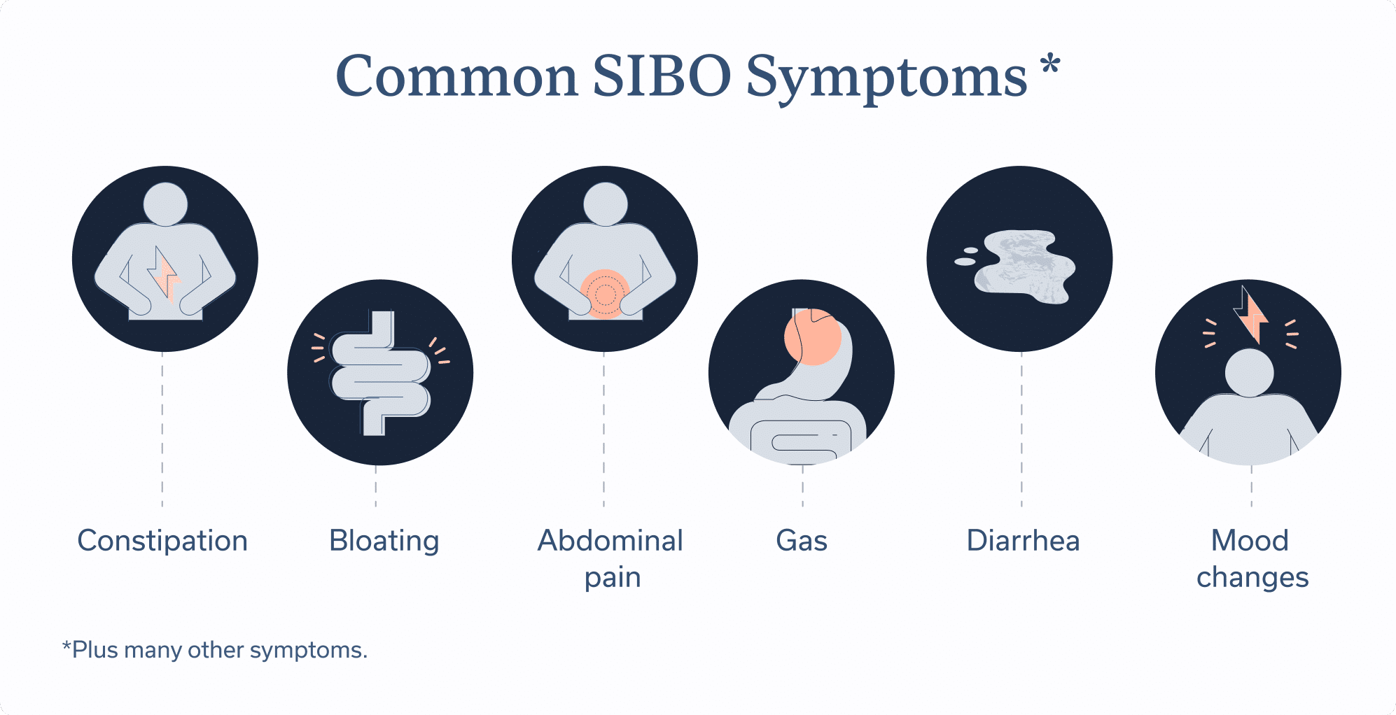 SIBO Diet: What it is, how to get started, and how it can help you heal - Oshi Health