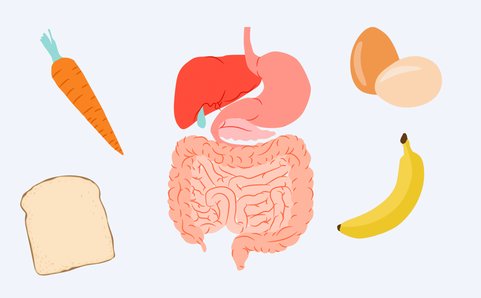 Easy-to-digest foods that are gentle on your GI system - Oshi Health