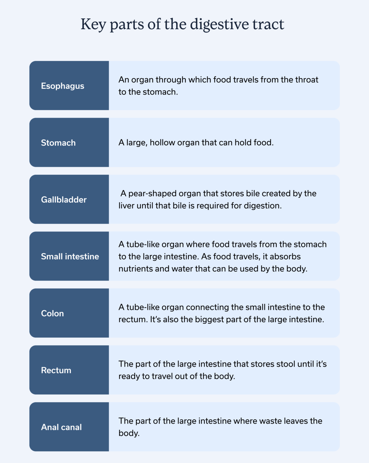 Gastrointestinal disease treatment: The 10 most common conditions ...