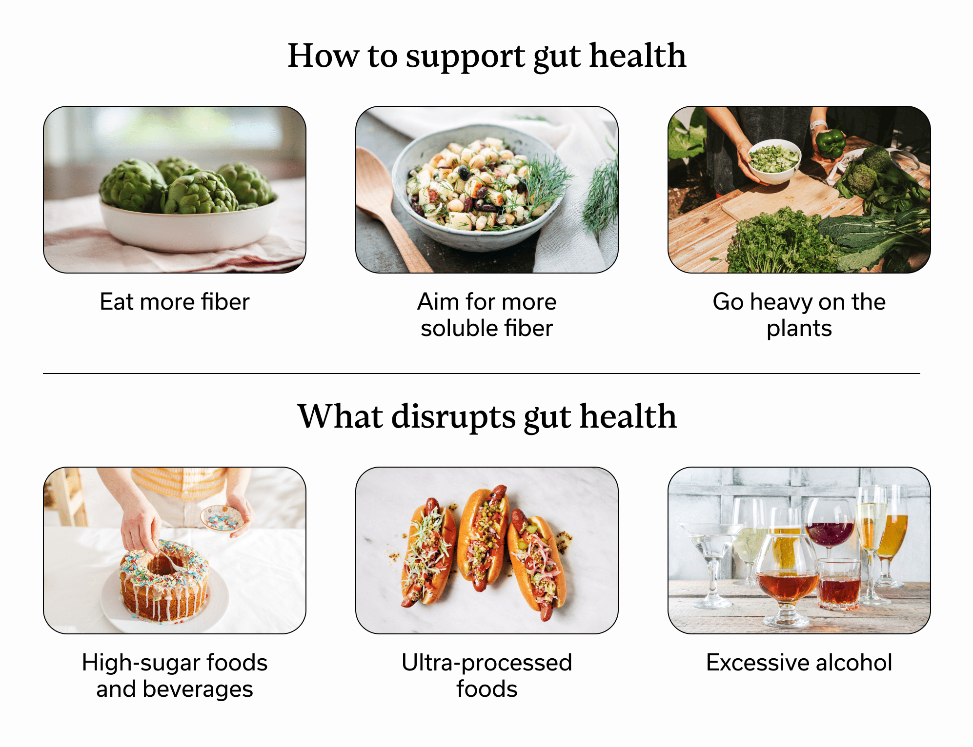Gut health for women: Everything you need to know - Oshi Health