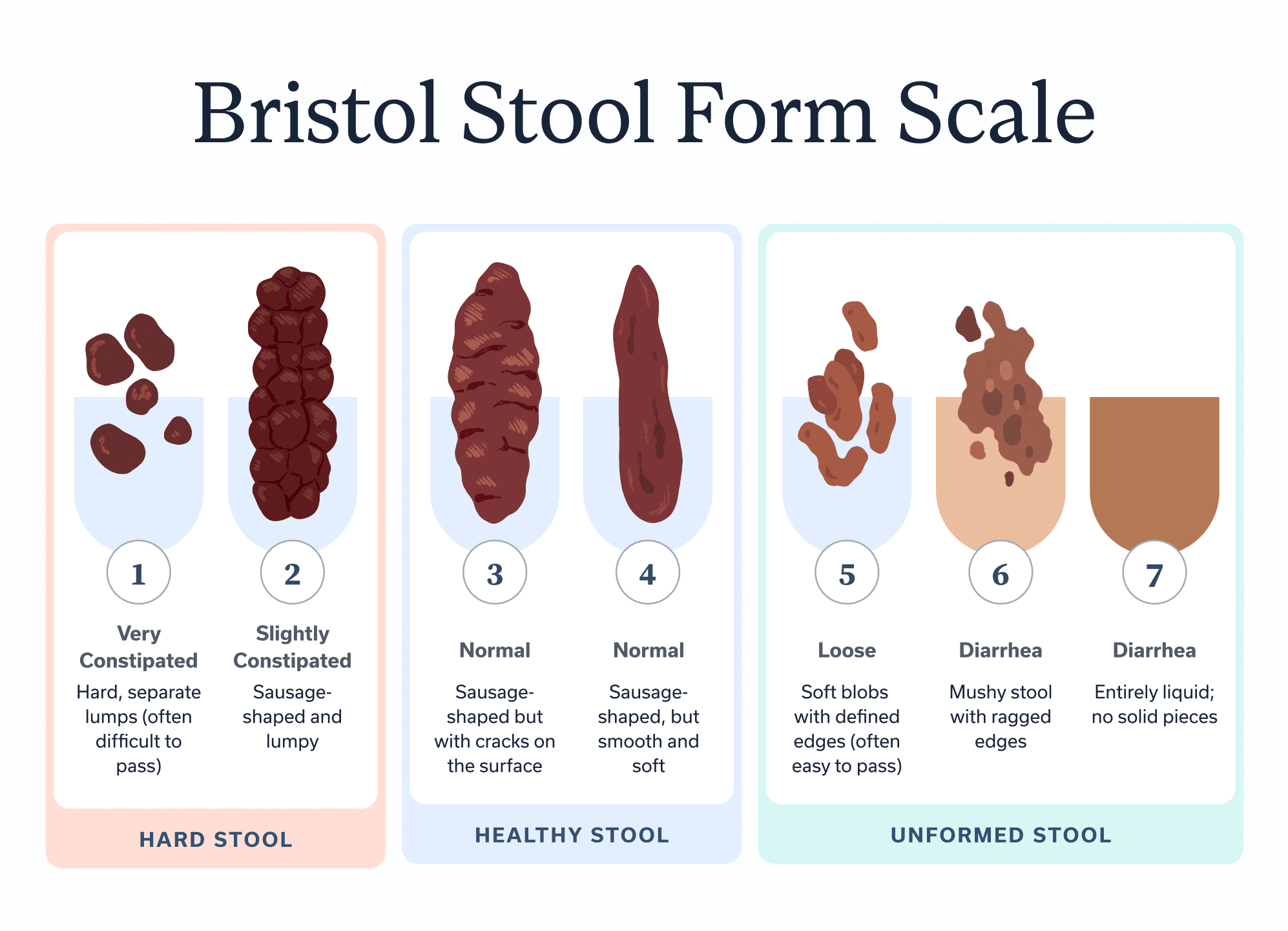 Why is my poop bubbling in the toilet? A guide to types of poop and ...